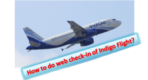 Indigo Web Check in Process | Step by Step guides, 2024